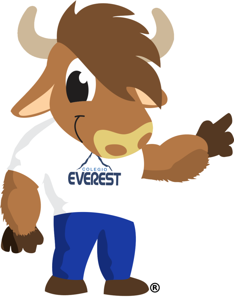 Docentes – Everest